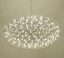 Moooi Zafu Raimond Pendant Light | Replica Lights